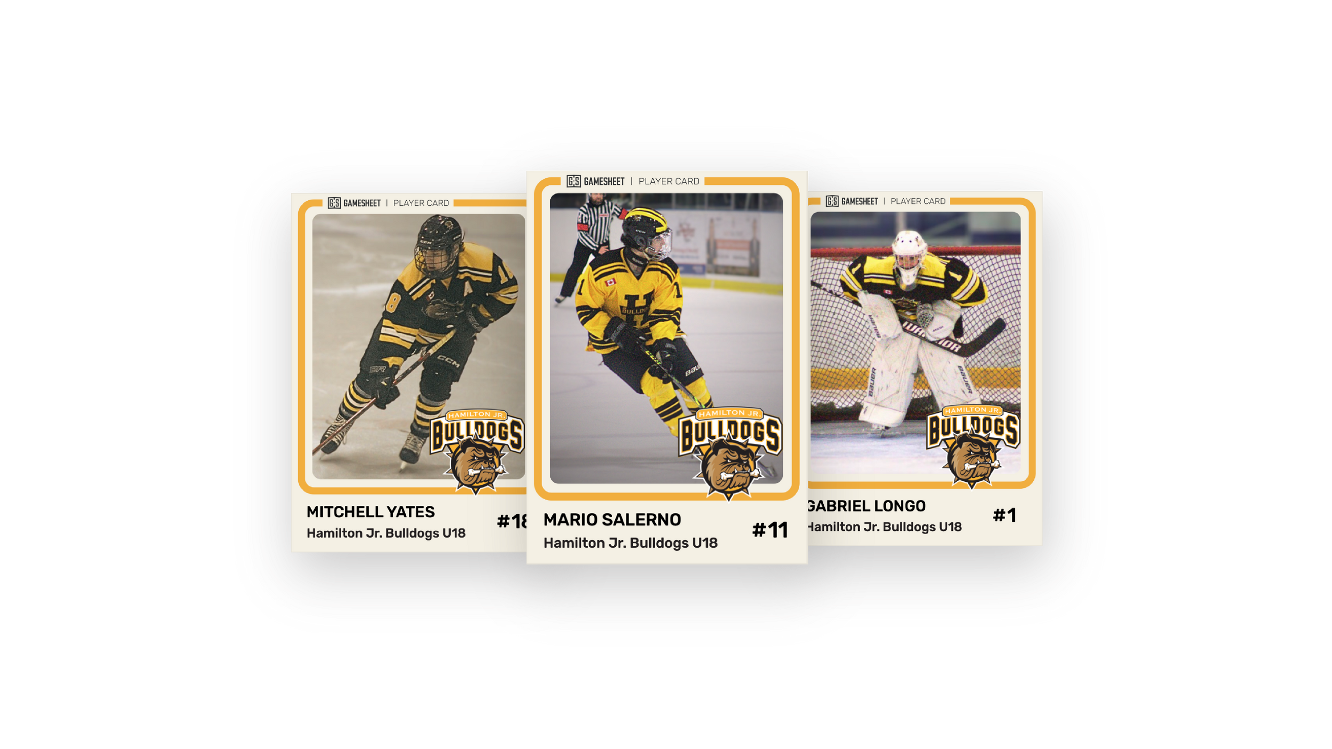 Player Cards by GameSheet Inc. – GameSheet | Player Cards